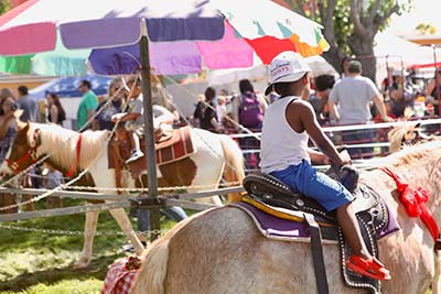 Attractions | Berryfest Strawberry Festival